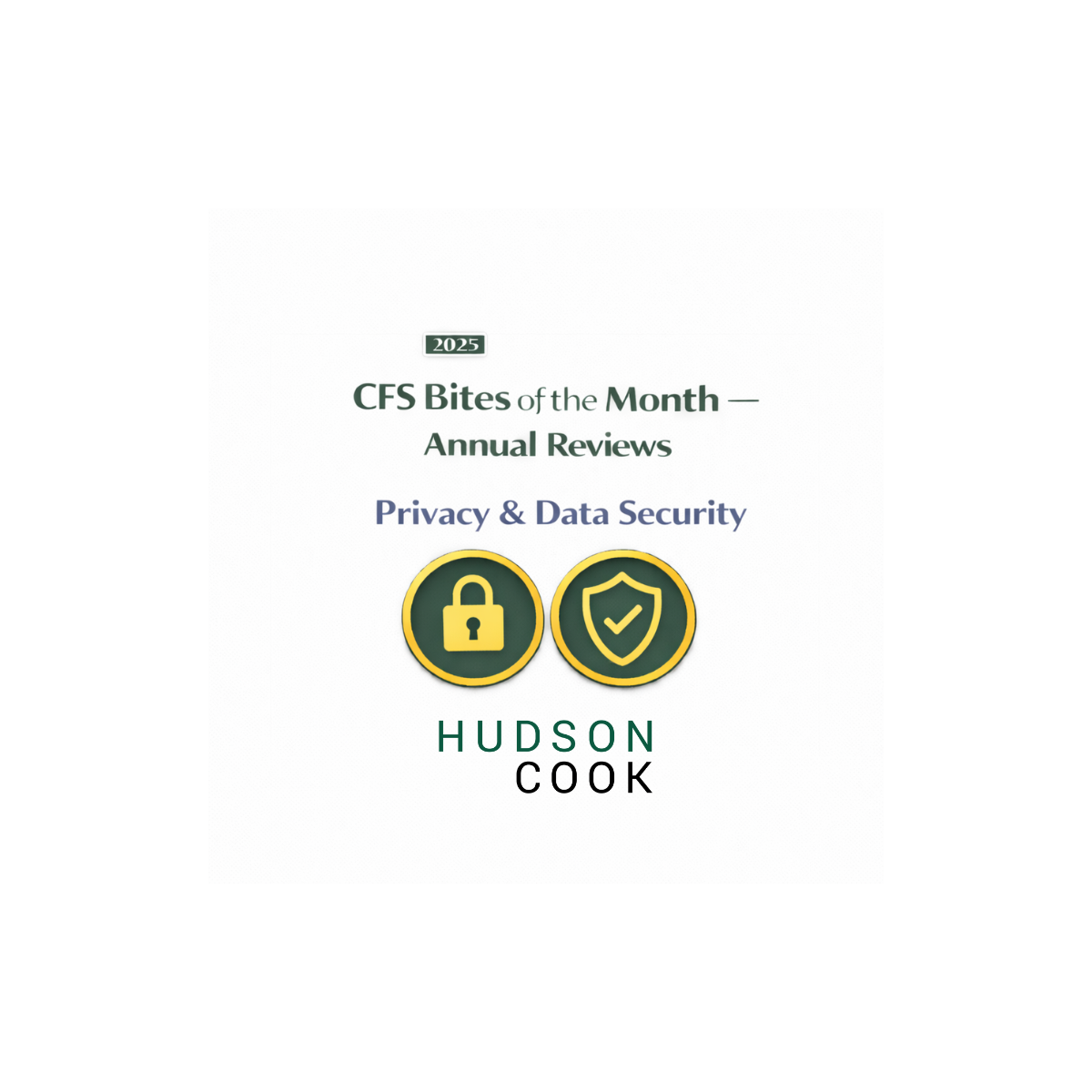 CFS Bites of the Month - 2025 Annual Review - Privacy and Data Security