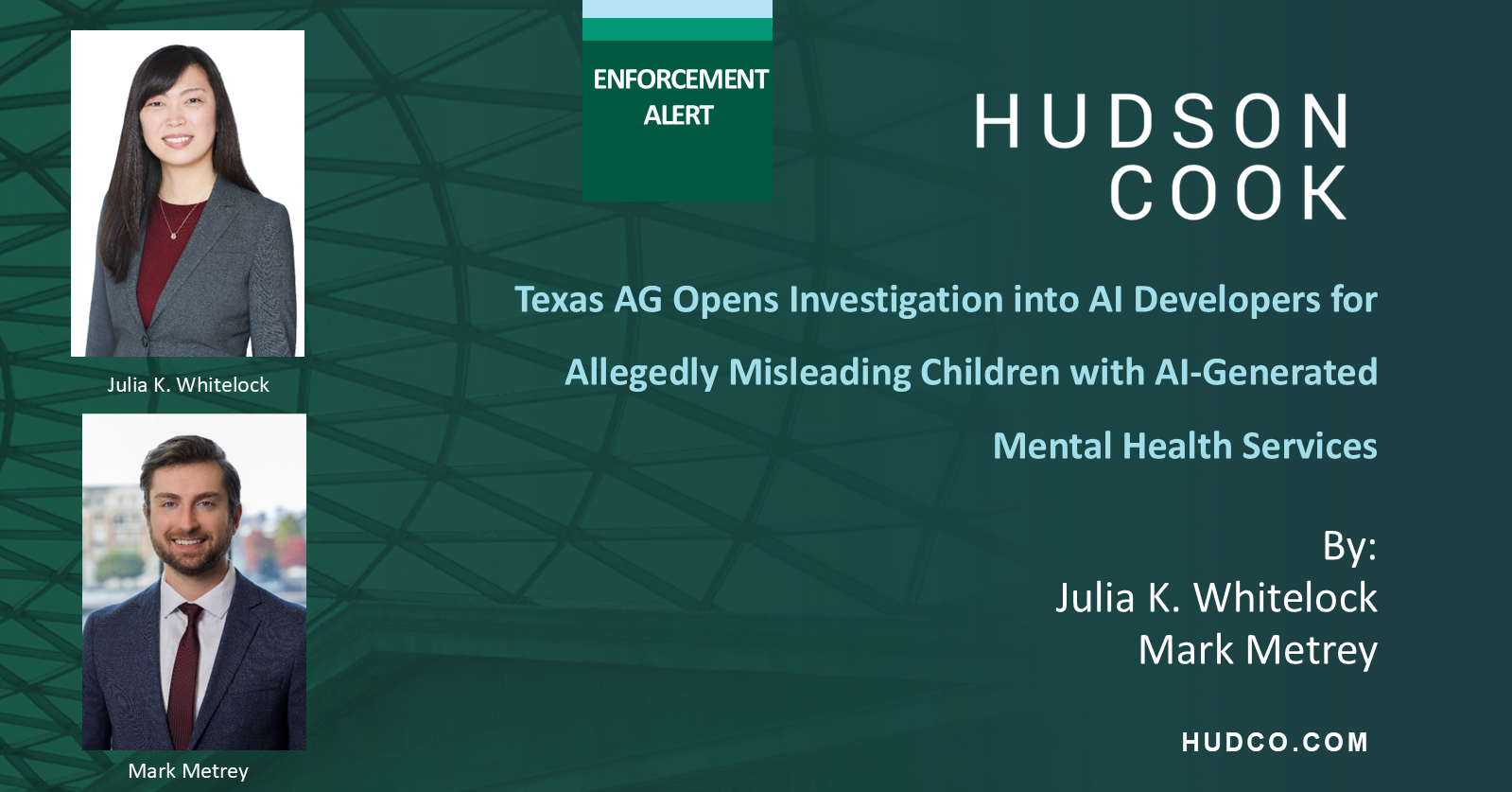 Hudson Cook Enforcement Alert: Texas AG Opens Investigation into AI ...